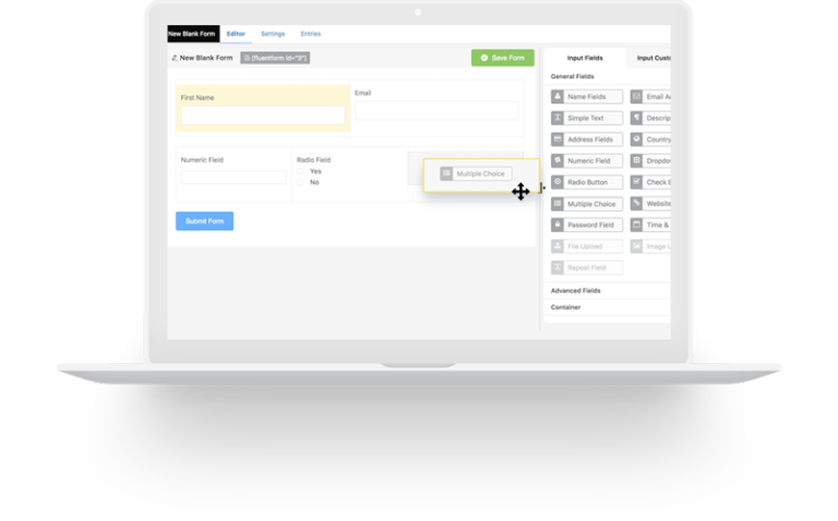 WP Fluent Forms - WP Manage Ninja