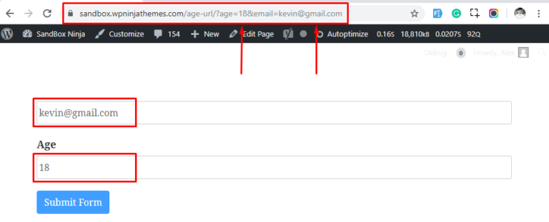 Set Default Form Value From Url Parameters Wp Manage Ninja