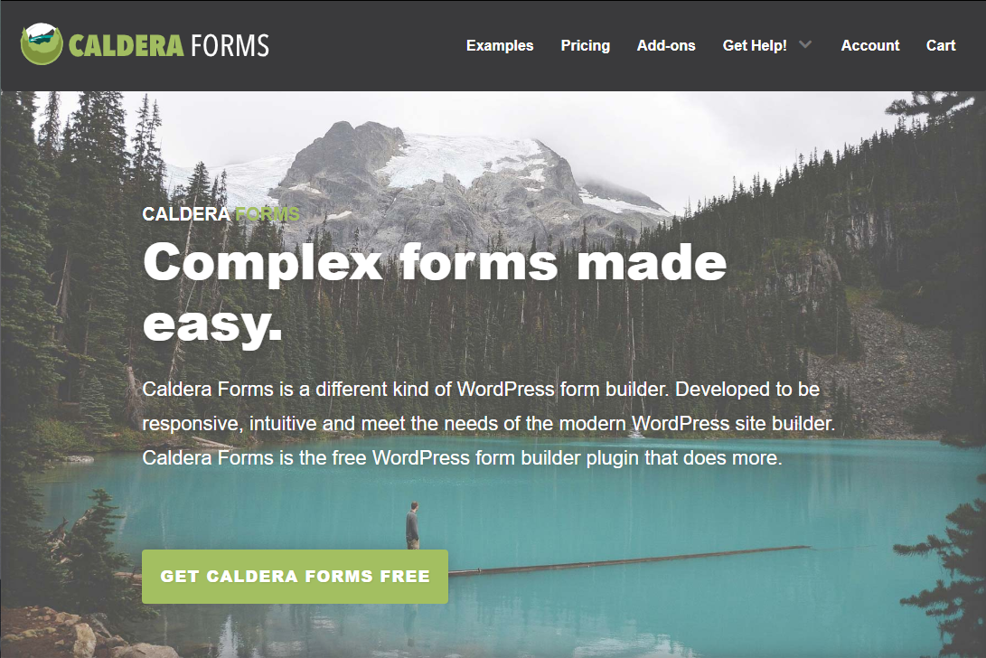 10 best Ninja Forms alternatives you should try NOW