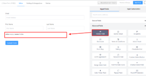 Hidden Input Field in WP Fluent Form WordPress Plugin