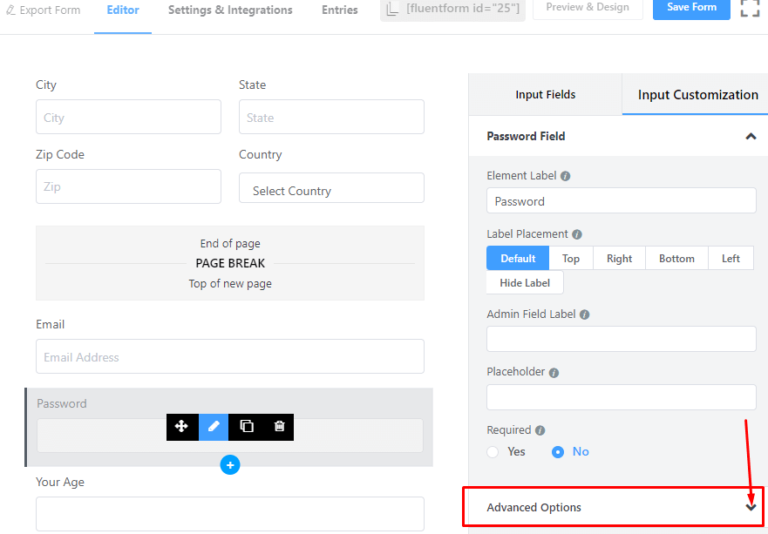 Help Message Customization in WP Fluent Form WordPress Plugin