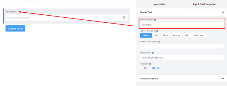 Simple Text Input Field in WP Fluent Form WordPress Plugin