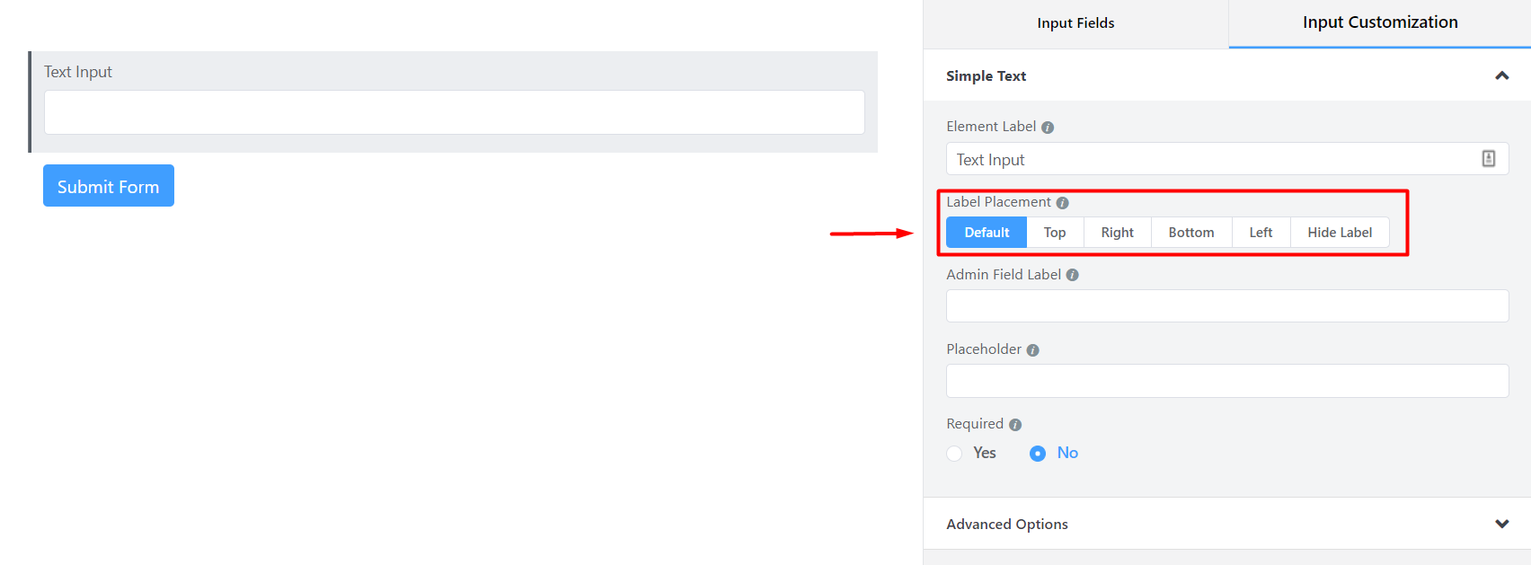 Simple Text Input Field In Wp Fluent Form Wordpress Plugin