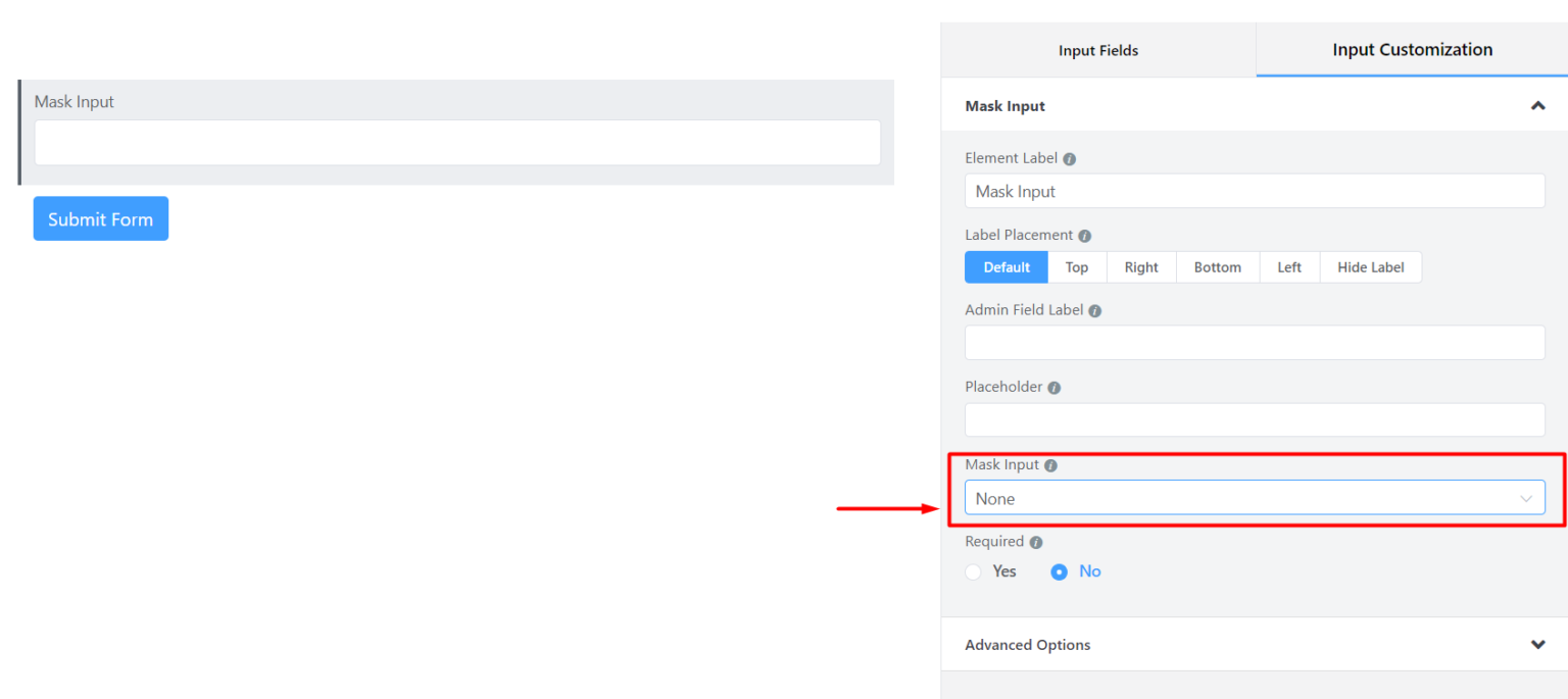 Mask Input Field in WP Fluent Form WordPress plugin