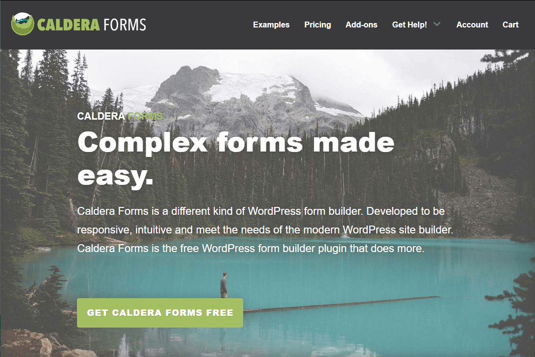 10 Best Free Form Builders For Creating an Online Survey - WP Manage Ninja