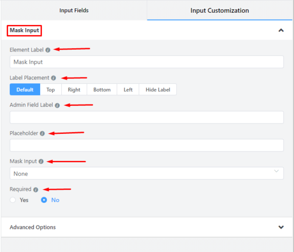 Mask Input Field in WP Fluent Form WordPress plugin