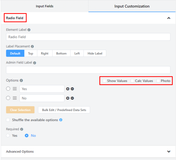 Radio Button in WP Fluent Form WordPress Plugin