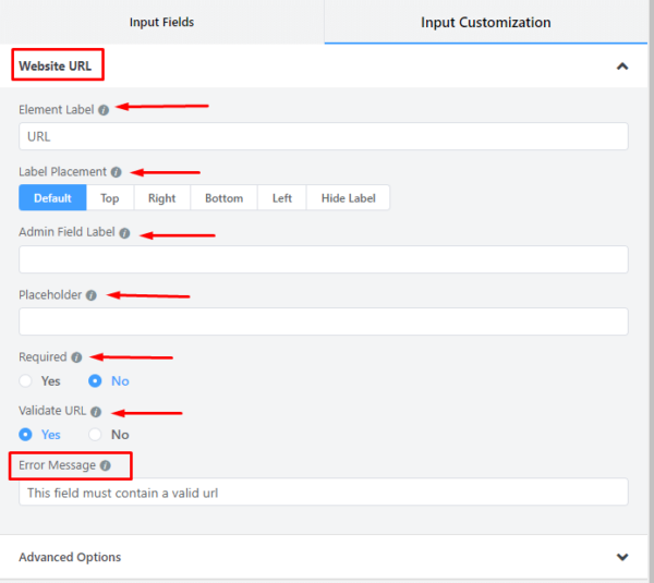 Website URL Input Field in WP Fluent Form WordPress Plugin