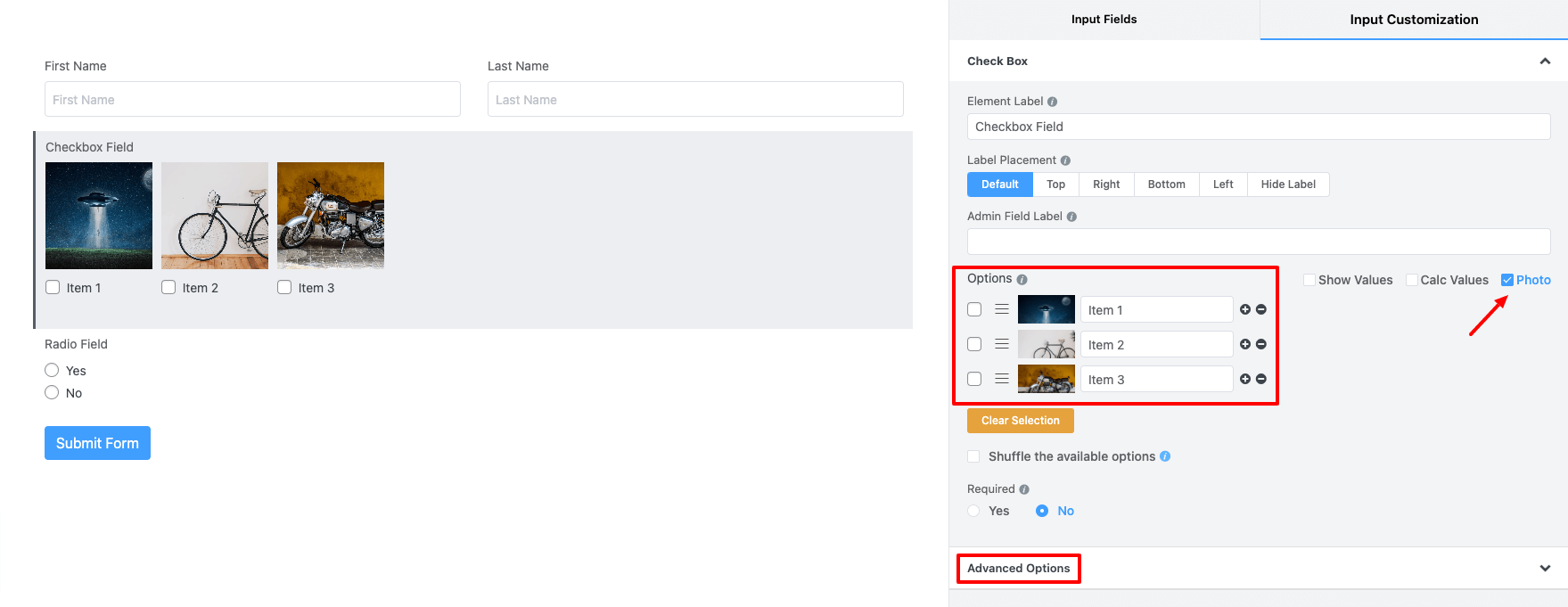 Check Box Field in WP Fluent Form WordPress Plugin