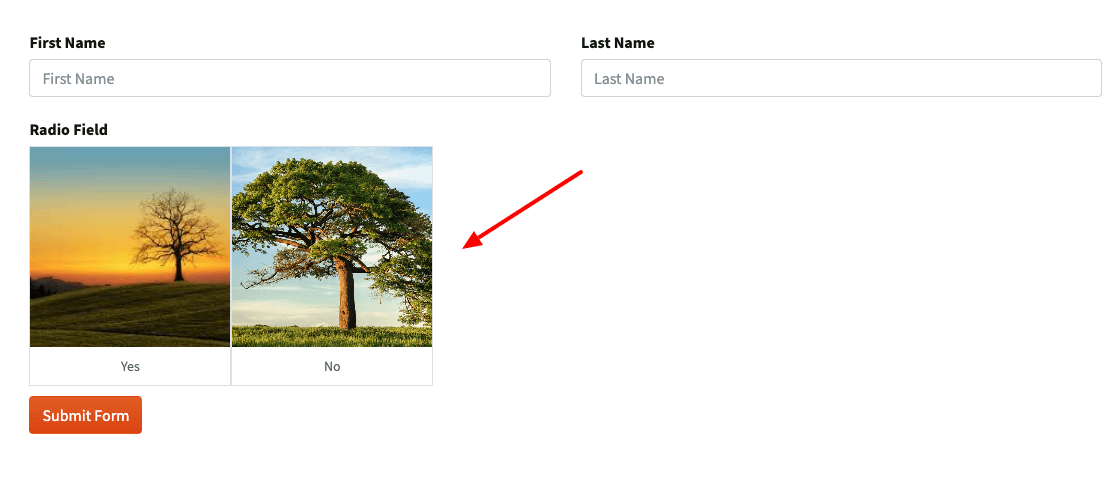Radio Button In Wp Fluent Form Wordpress Plugin