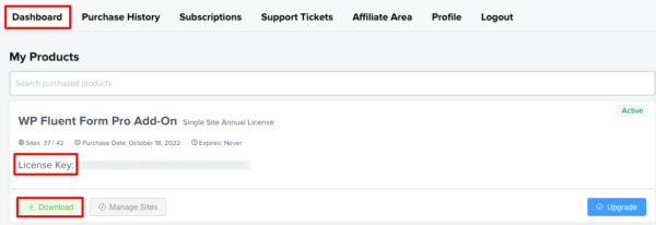 Upgrade to WP Fluent Form Pro Add-on