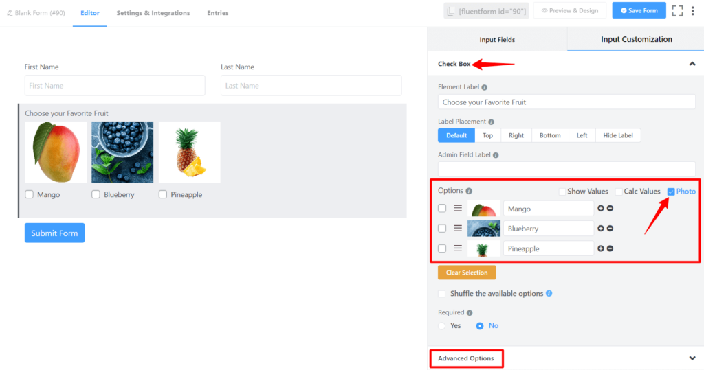 Check Box Field in WP Fluent Form WordPress Plugin
