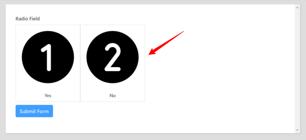 Radio Button in WP Fluent Form WordPress Plugin