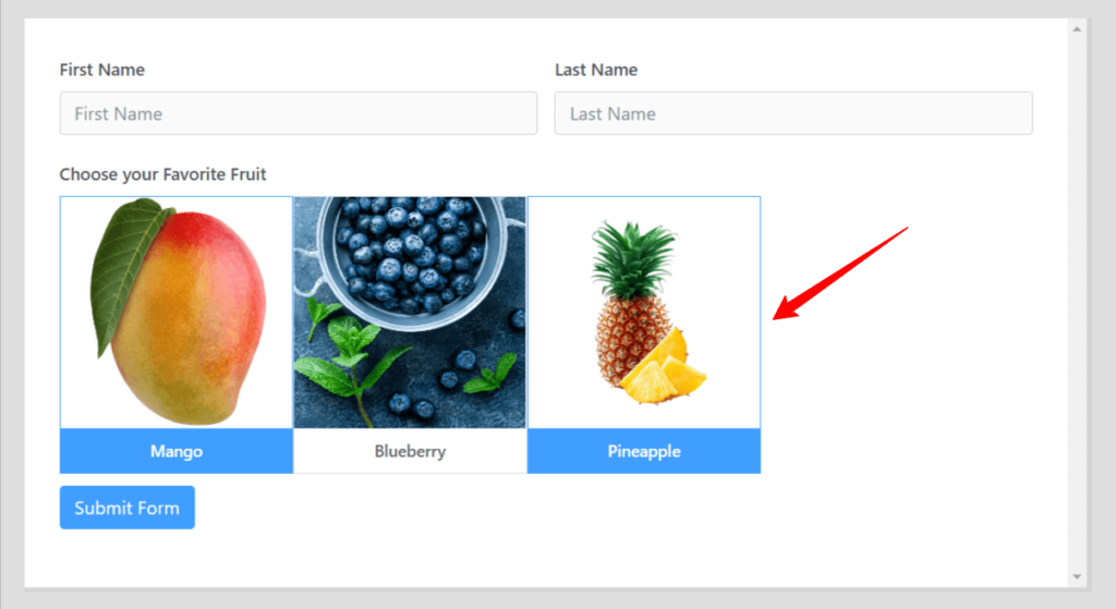 Check Box Field in WP Fluent Form WordPress Plugin