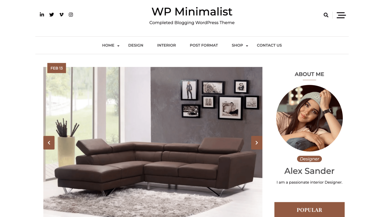 10+ Minimalist WordPress Blog Themes for Future Bloggers - WP Manage Ninja